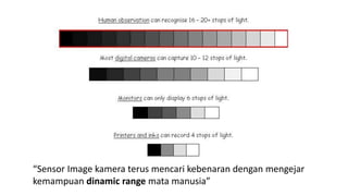 Dinamic range | PPT