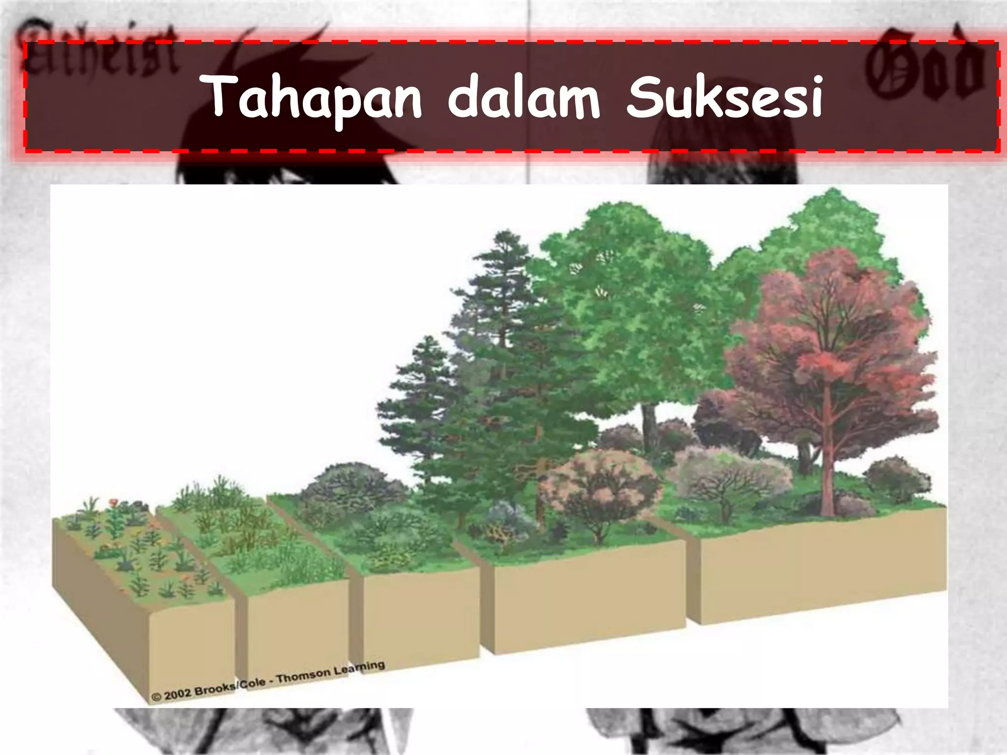 Dinamika ekosistem | PPTX