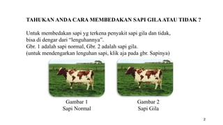 Dinamika Kelompok PKA KARAWANG Ang I 2023.pptx