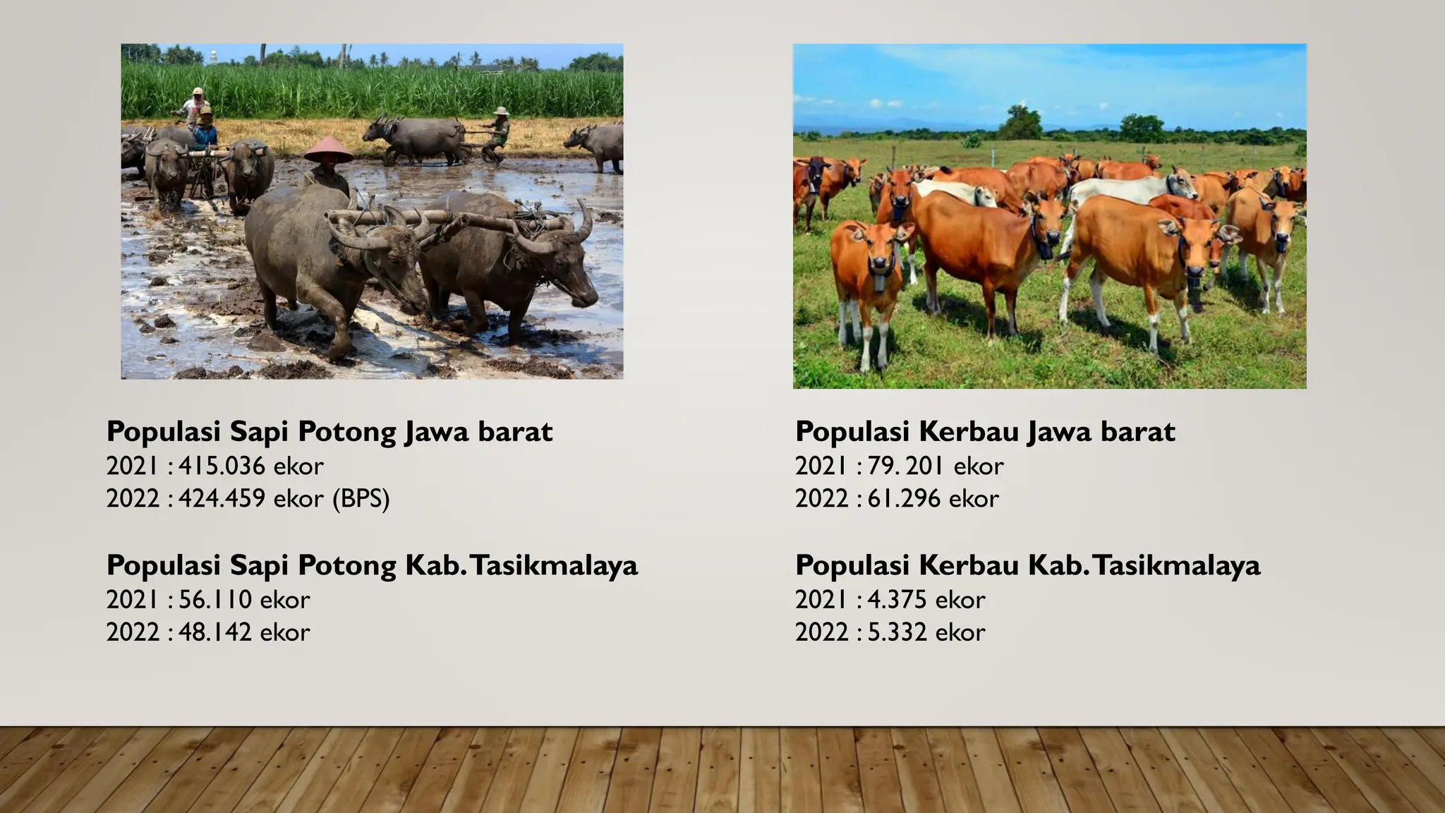 Dinamika Peternakan Sapi dan kerbau di Kabupaten Tasikmalaya | PDF