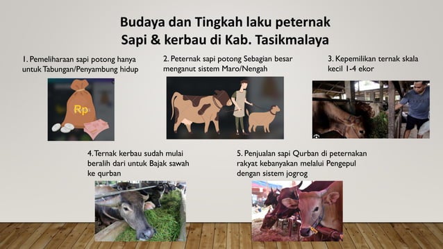 Dinamika Peternakan Sapi dan kerbau di Kabupaten Tasikmalaya | PDF