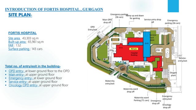 hospital design studies - architecture | PPTX