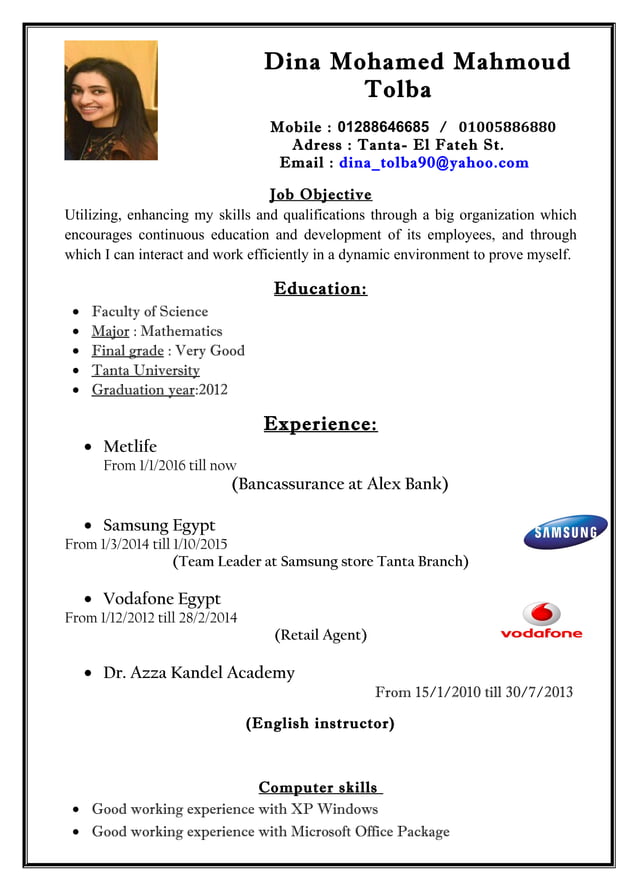 Dina`s cv | PDF