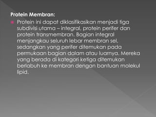 Dinding sel dan membran sel | PDF