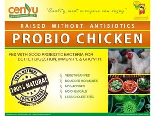 Jairus Ferrer: Changing the Supply Game for the Food and Beverage ...