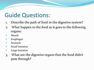 Digestive System | PPTX