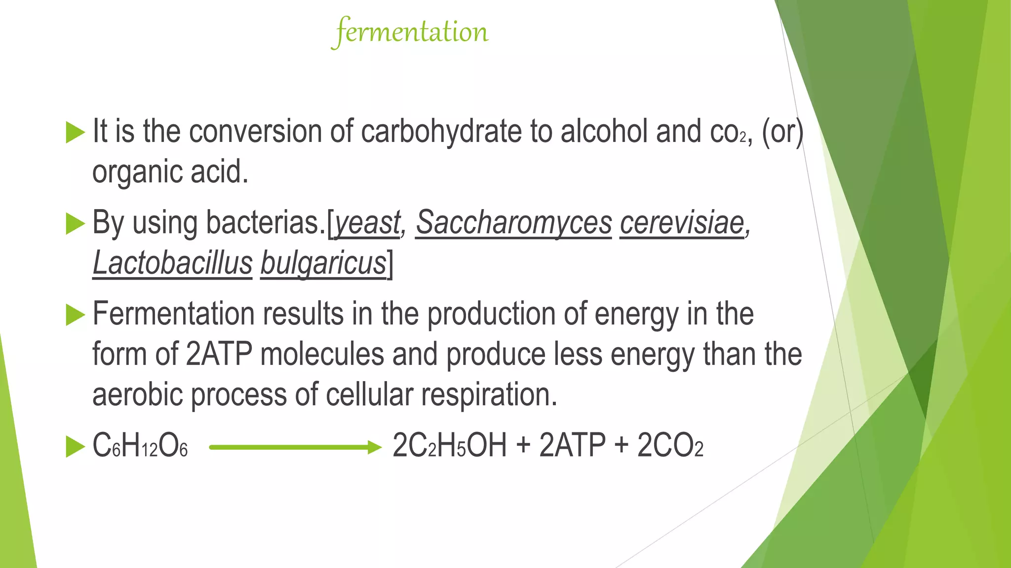 Fermentation | PPTX | Chemistry | Science