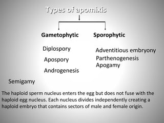 Dinesh apomixis presentation | PPTX | Infertility | Reproductive Health