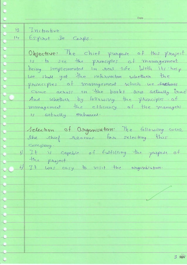 CBSE Business Studies Class XII Principles of Management Project | PDF