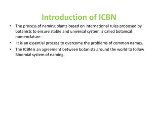 ICBN BOTANY.pptx