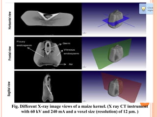 x-ray computed tomography for food quality | PPTX