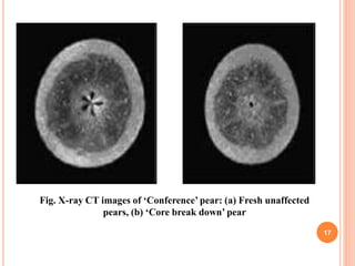 x-ray computed tomography for food quality | PPTX