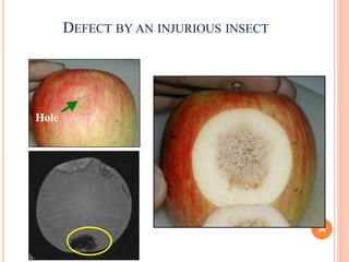 x-ray computed tomography for food quality | PPTX