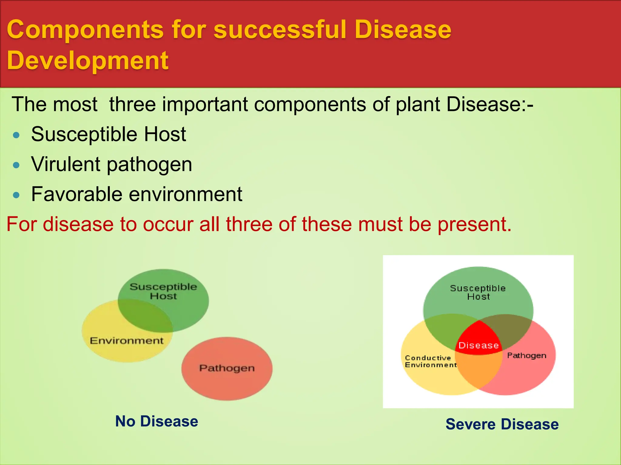 Role of Forecasting system in plant disease management | PPTX