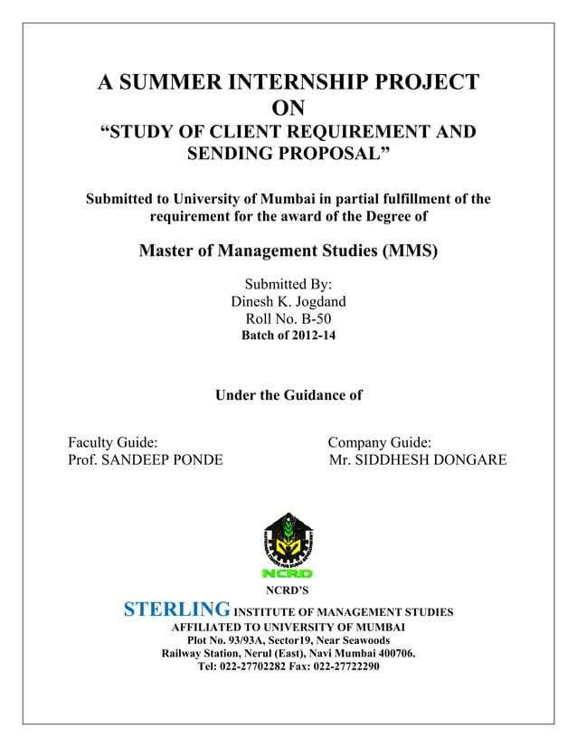 MBA (IT) SIP Report on RIInfotech | PDF