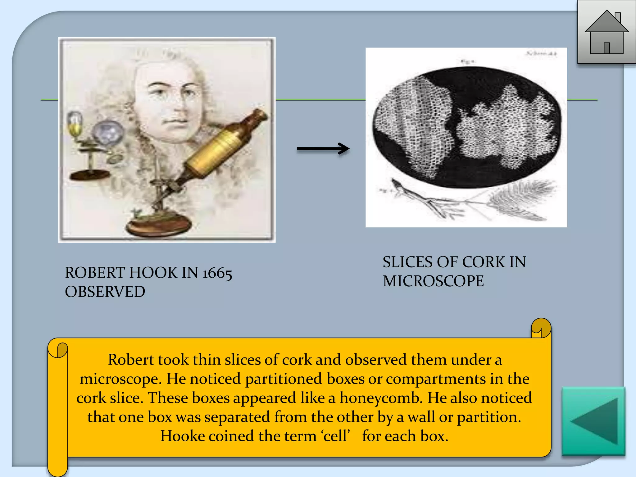 Cell -Structure and functions | PPTX