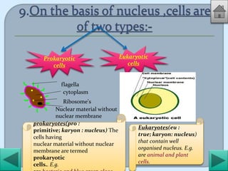 Cell -Structure and functions | PPTX