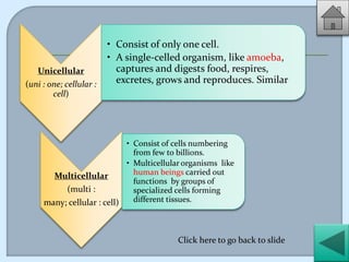 Cell -Structure and functions | PPTX
