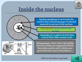 Cell -Structure and functions | PPTX
