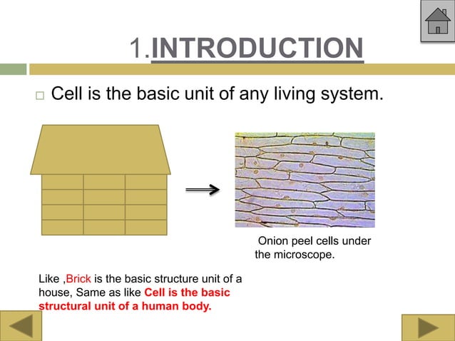 Cell -Structure and functions | PPTX