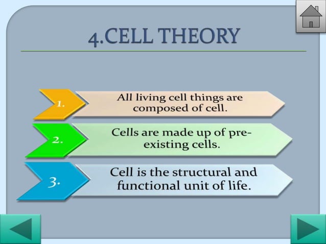 Cell -Structure and functions | PPTX
