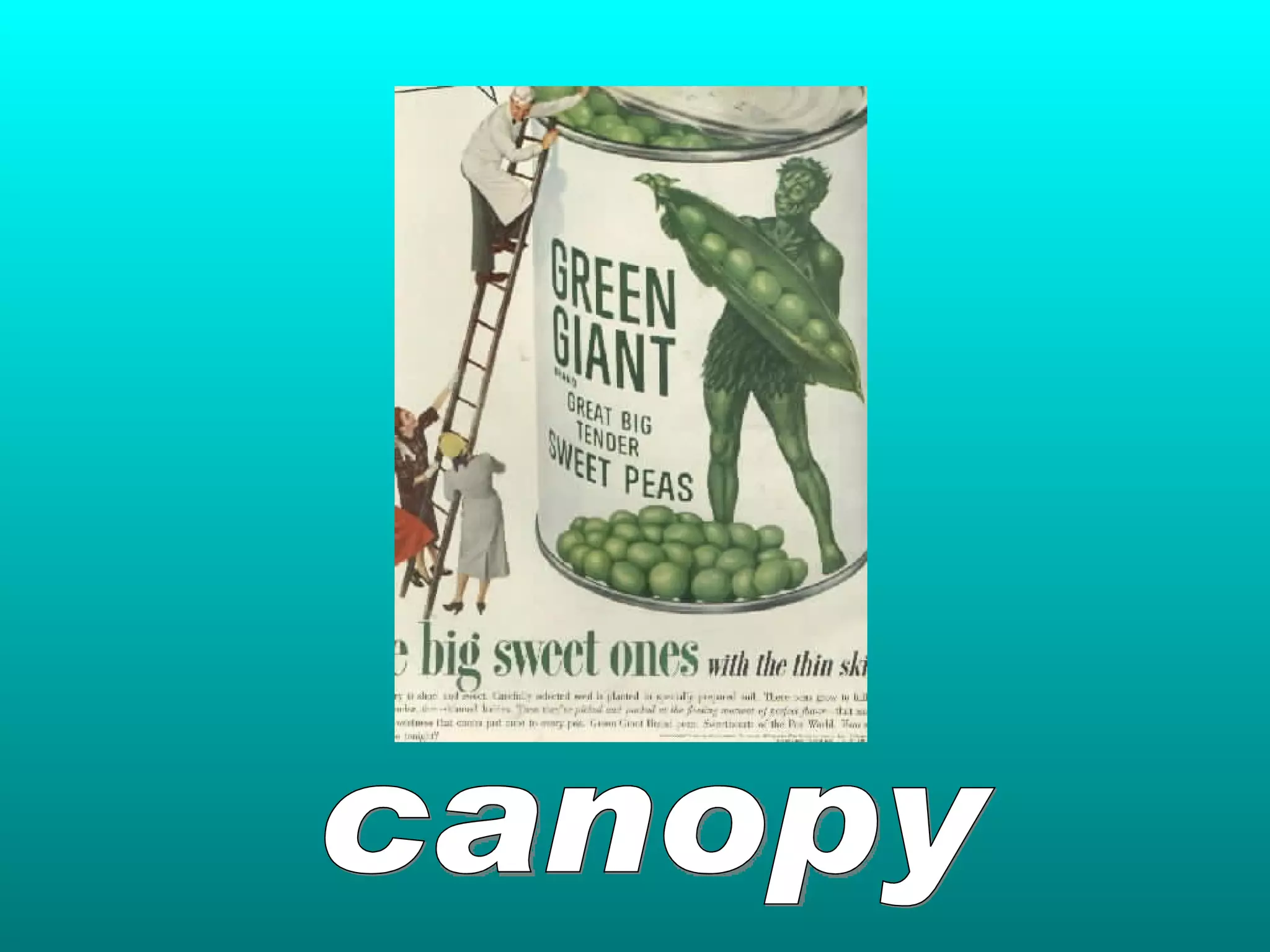 Dingbats Revision | PPT