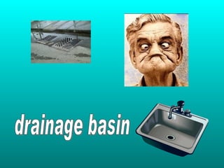 Dingbats Revision | PPT