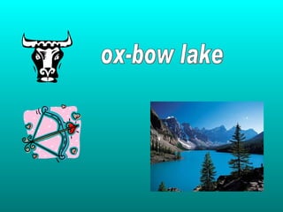 Dingbats Revision | PPT