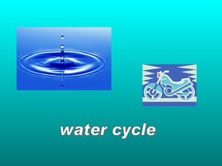 Dingbats Revision | PPT | Geography | Science