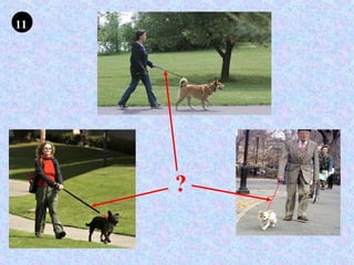 Dingbats (Uk Towns & Cities) | PPT