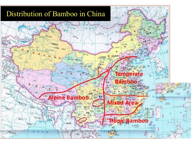 Ding Yulong_Plantation Management of Alpine Bamboo