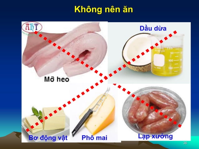 DINH DƯỠNG Ở NGƯỜI CAO TUỔI | PDF