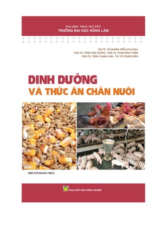 Dinh dưỡng và thức ăn chăn nuôi (Tài liệu dùng cho đào tạo tiến sĩ) | PDF