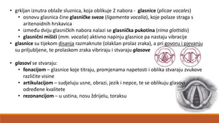 Dišni sustav | PPSX