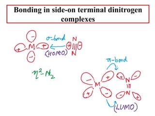 Dinitrogen complexes | PPT