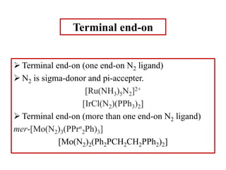 Dinitrogen complexes | PPT