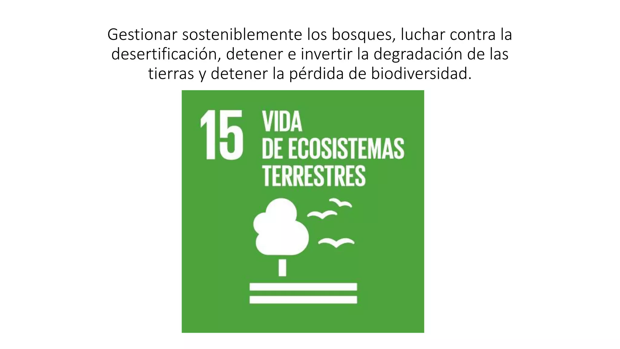 Dinámica para identificar los ODS con logos.pptx
