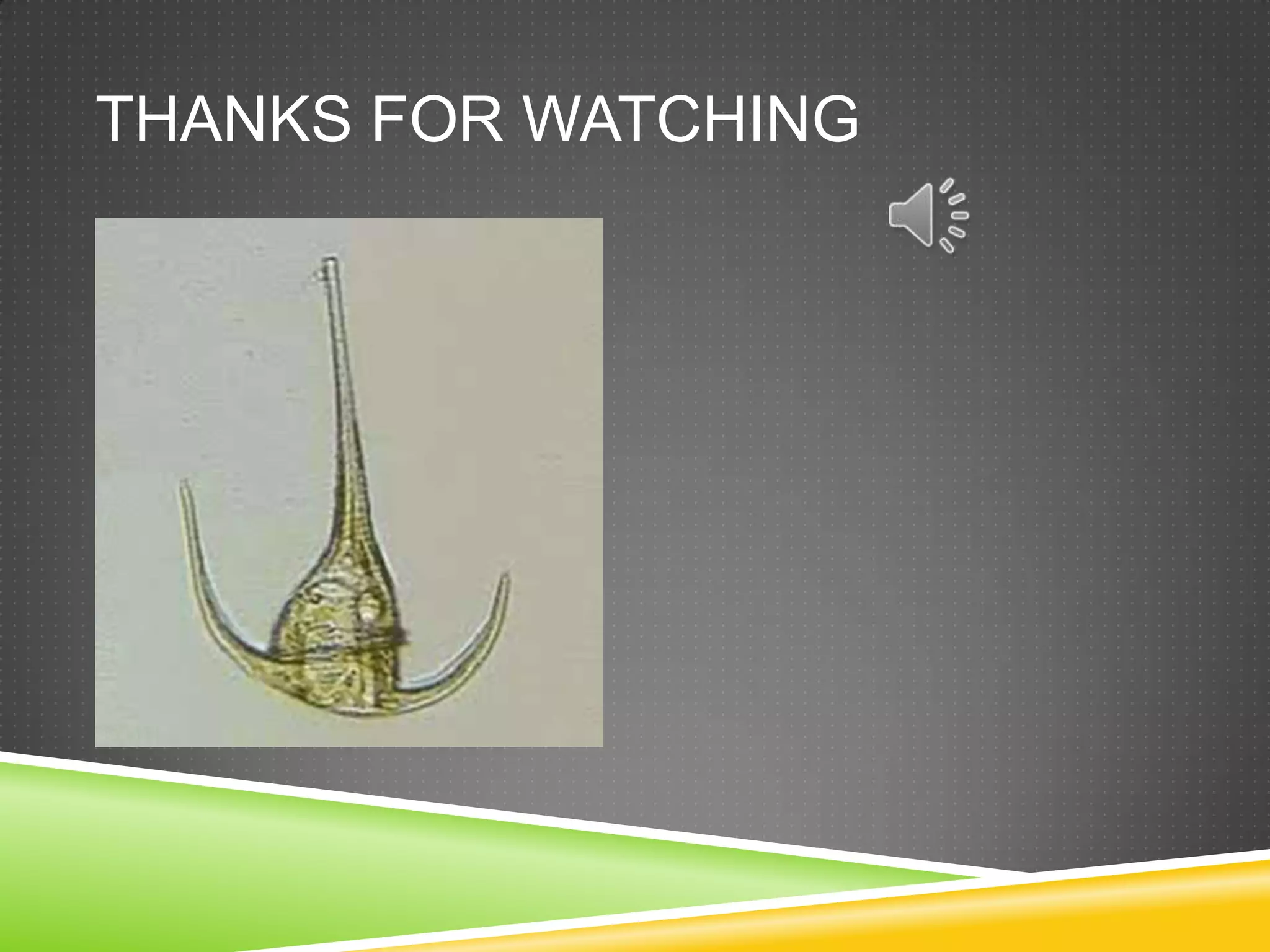 Dinoflagellates | PPTX