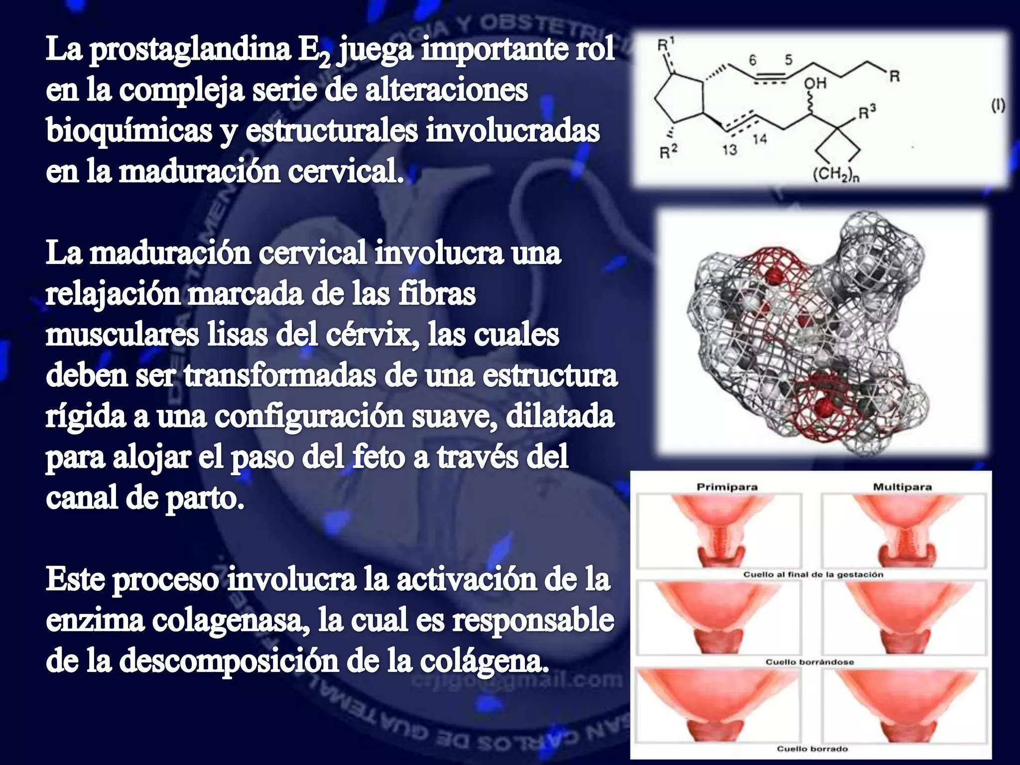 MADURACION CERVICAL CON DINOPROSTONA | PPT