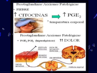 MADURACION CERVICAL CON DINOPROSTONA | PPTX
