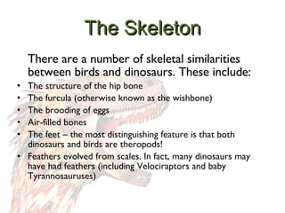 0554896 Dino-birds! | PPT