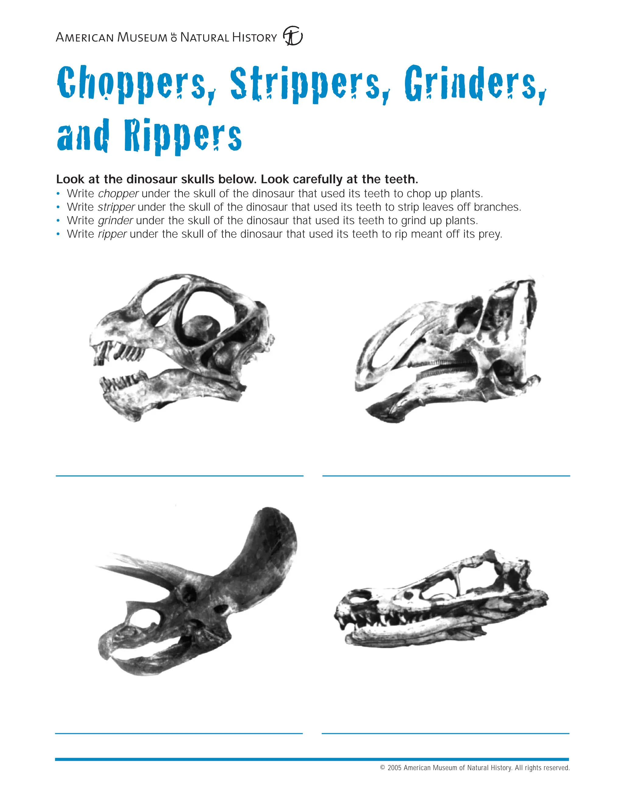 dinosaur-teeth. What dinosaurs are aeting? | PDF | Free Download