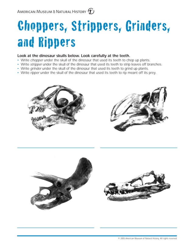 dinosaur-teeth. What dinosaurs are aeting? | PDF