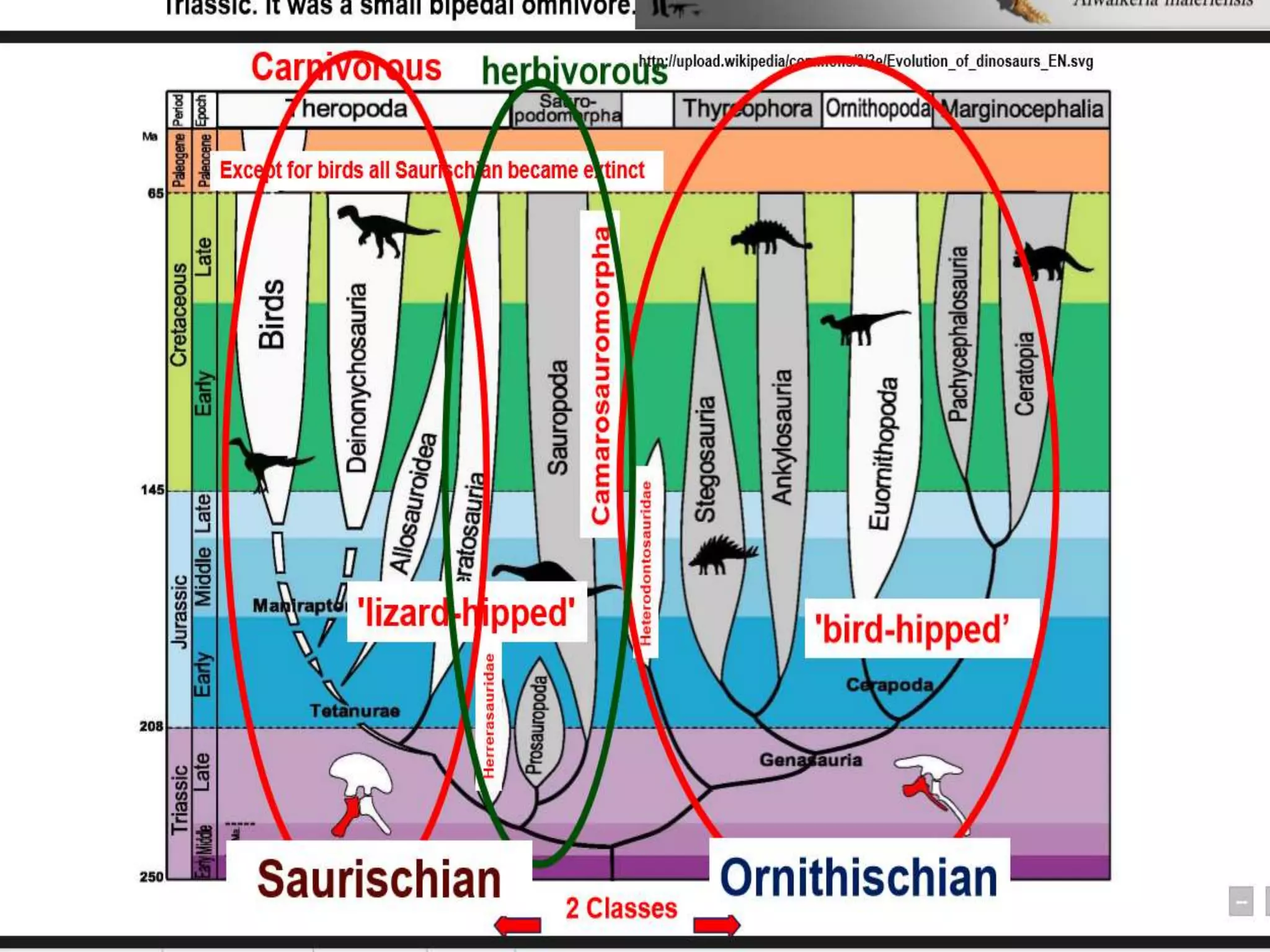 Dinosaur and their extinction | PPTX | Reptiles | Pets