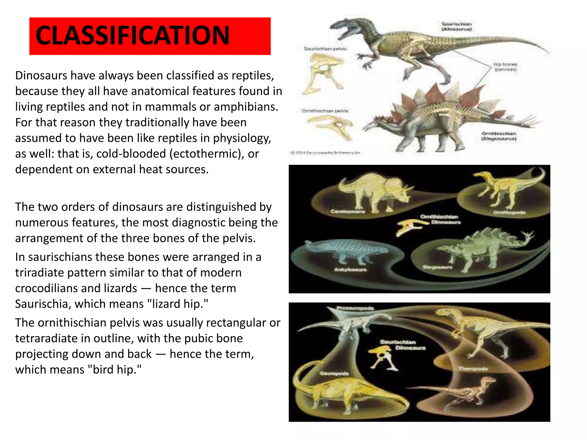 Dinosaur and their extinction | PPTX | Reptiles | Pets