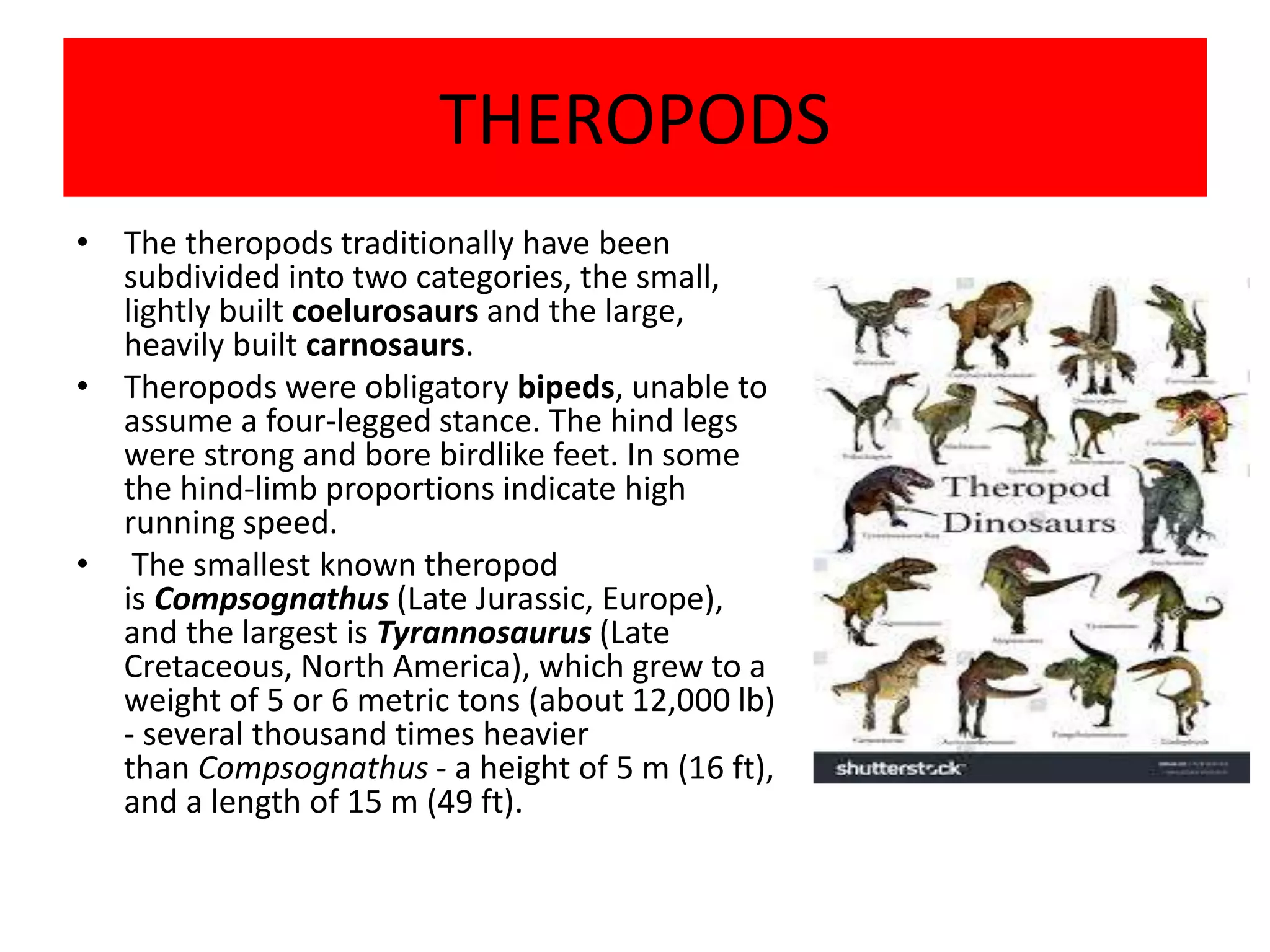 Dinosaur and their extinction | PPTX | Reptiles | Pets