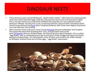 Dinosaur and their extinction | PPTX