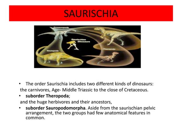 Dinosaur and their extinction | PPTX | Reptiles | Pets