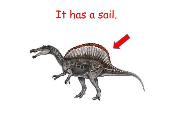 Dinosaur Characteristics: It has a bony head | PPT