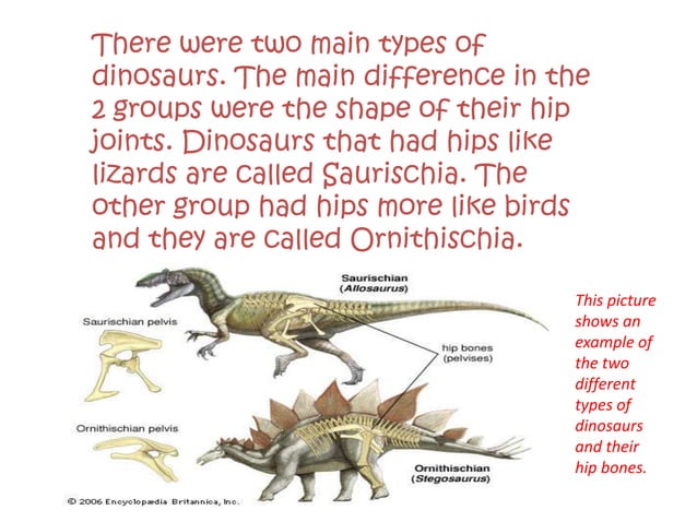 Dinosaur facts power point | PPTX